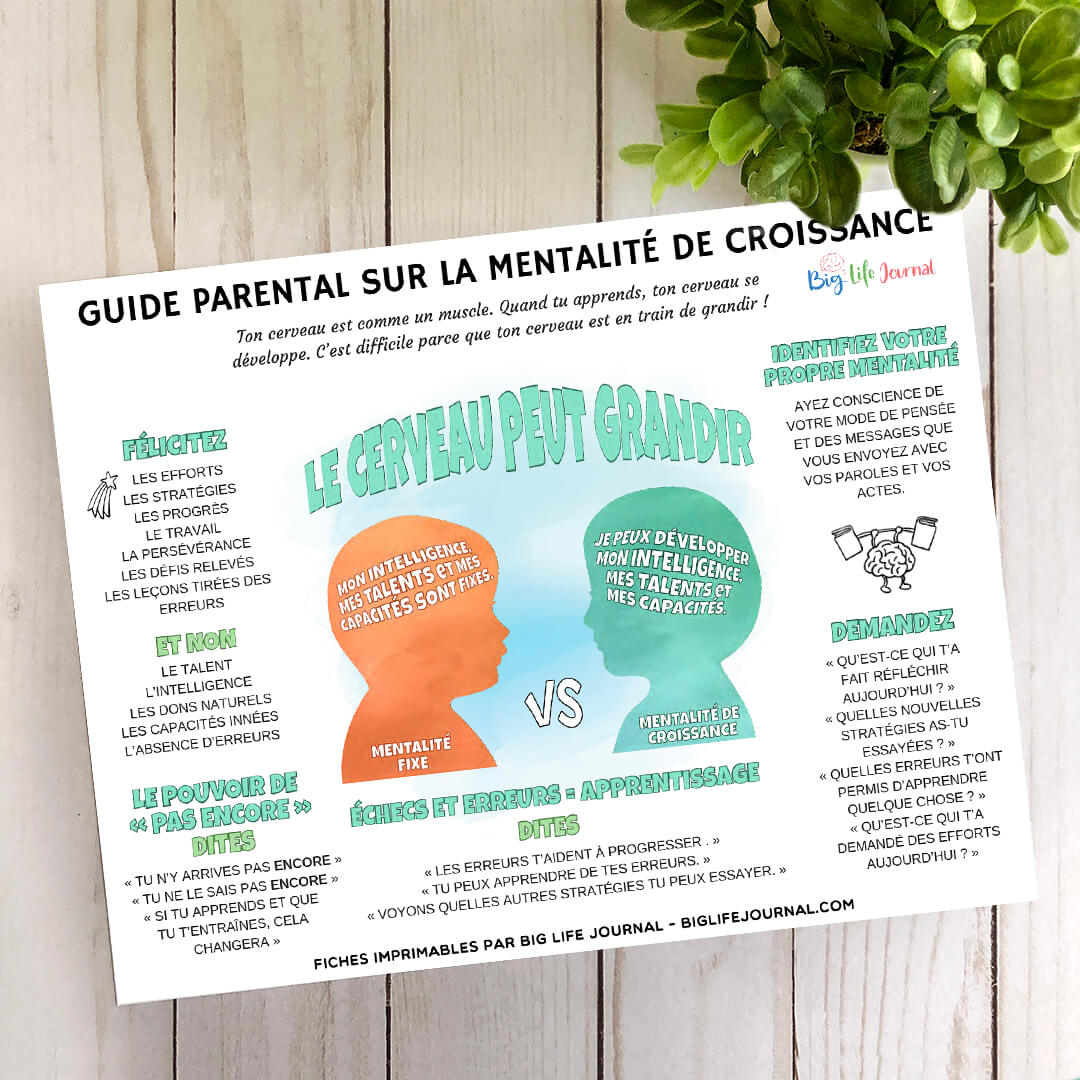 Kit pour développer une mentalité de croissance (5-11 ans) – Big Life ...