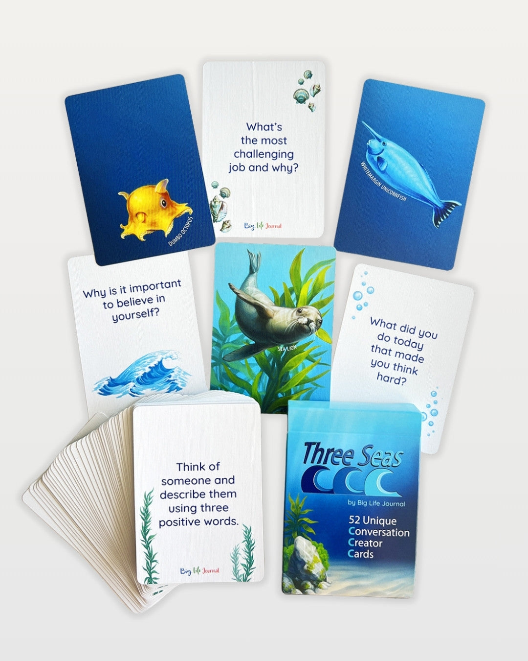 Conversation Cards for Kids – Big Life Journal