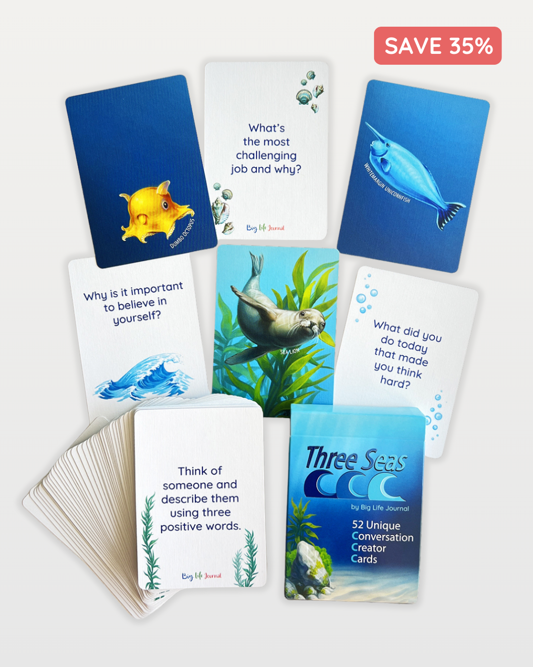 Conversation Cards for Kids – Big Life Journal