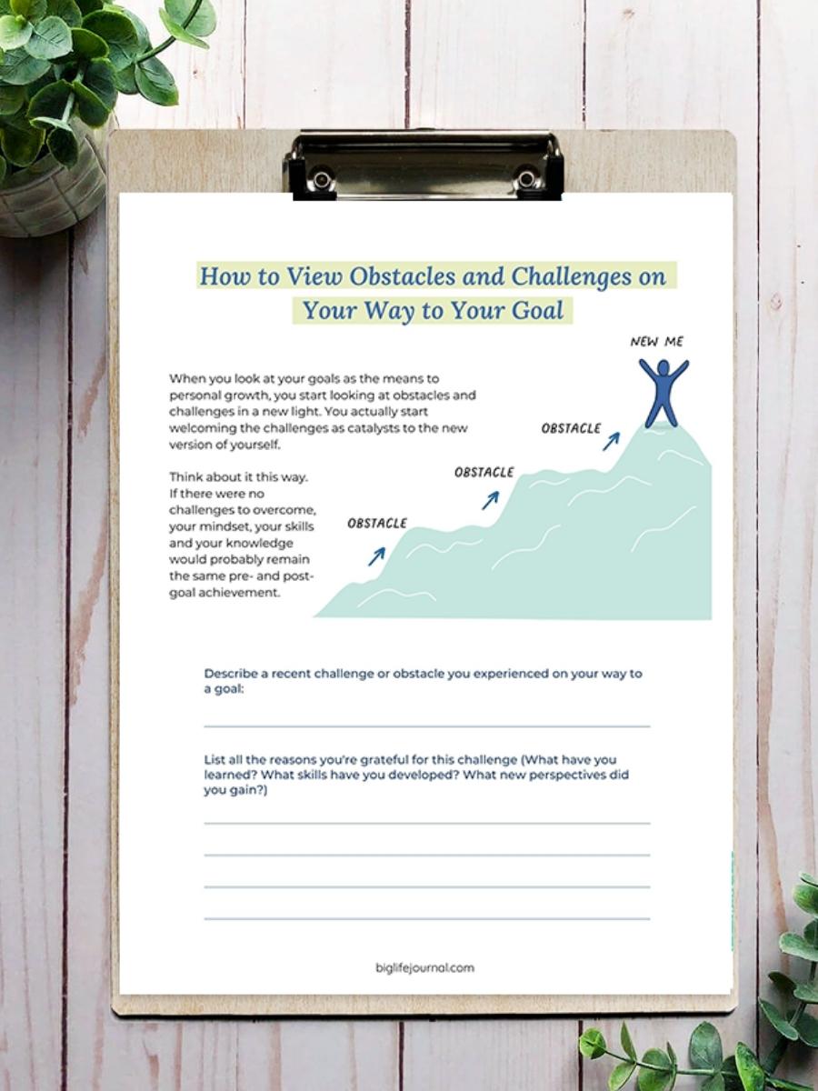 Goal Setting Kit PDF (ages 18-99) – Big Life Journal