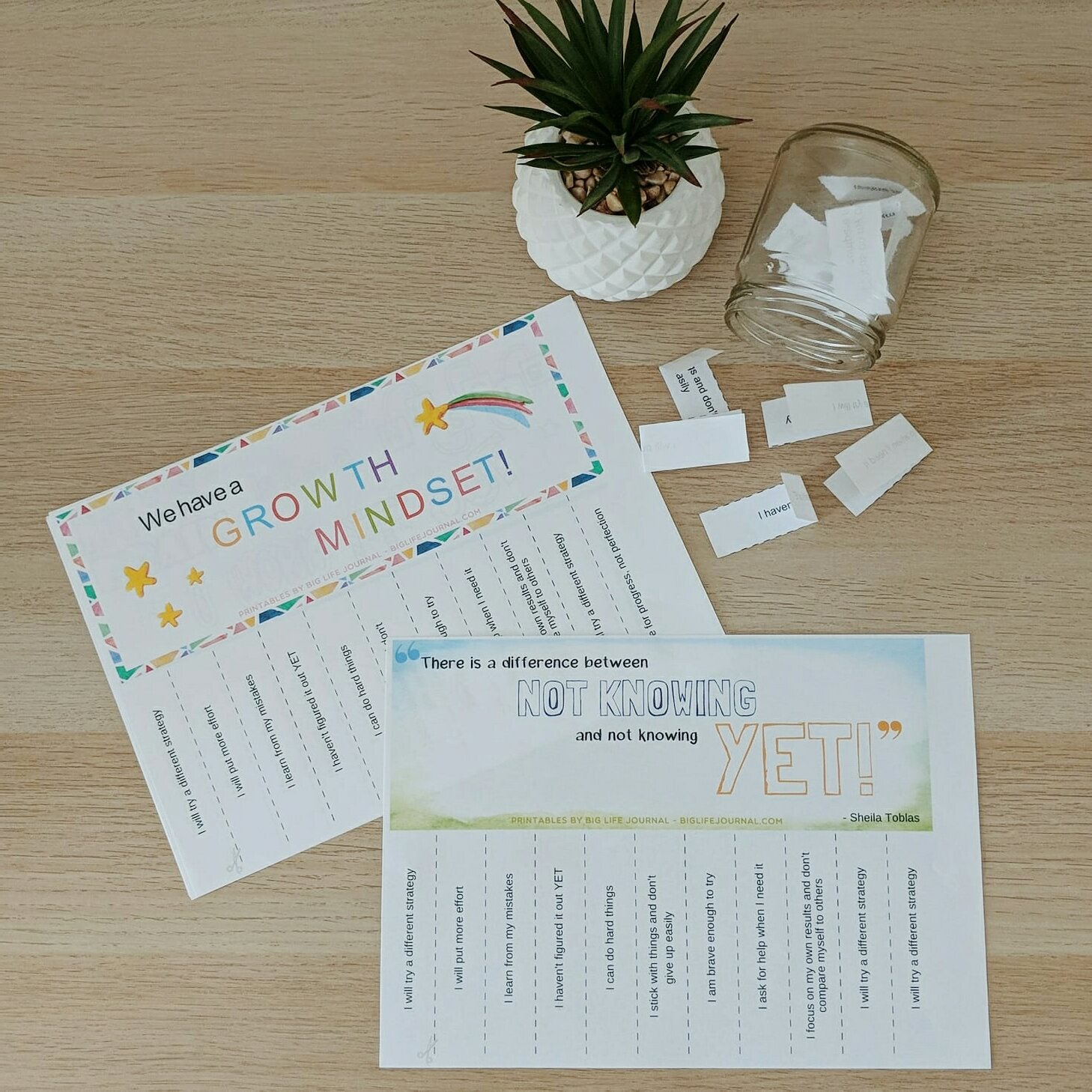 Growth Mindset Activities PDF – Big Life Journal